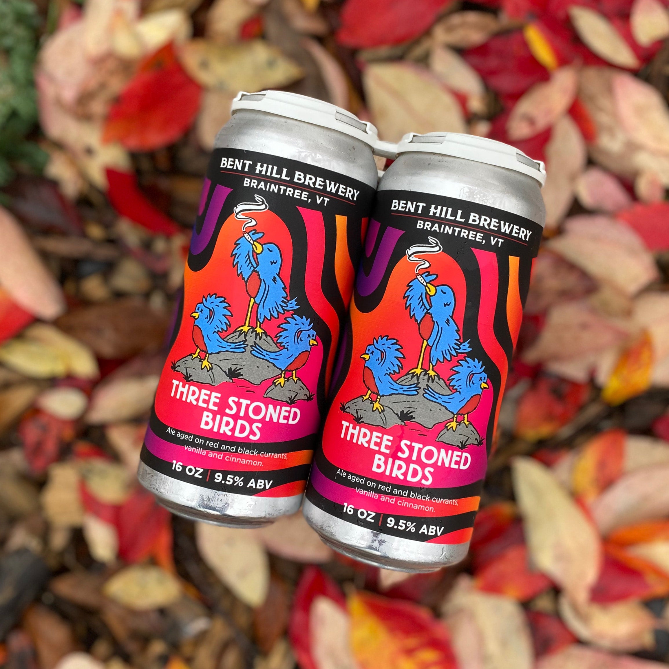 THREE STONED BIRDS (4-pack/16oz cans) | Bent Hill Brewery | Braintree, VT